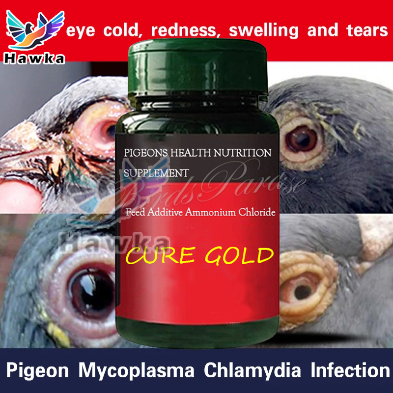 Cure gold for racing pigeon Instant Solution curing one eye cold ...