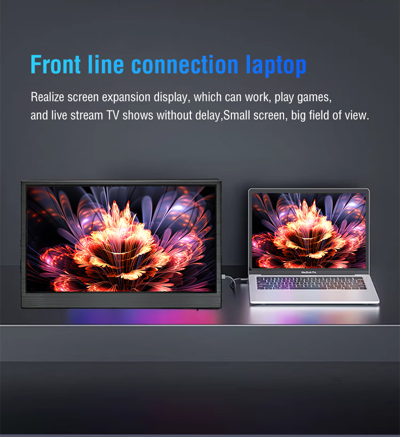 Anmite 11.6" Portable Monitor for Laptop Usb Type-c HDMI Display ...