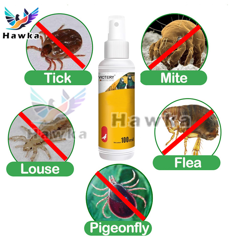 Victery Anti Lice and Mites Spray for pigeon racing ( Louse Mite Sweep ...