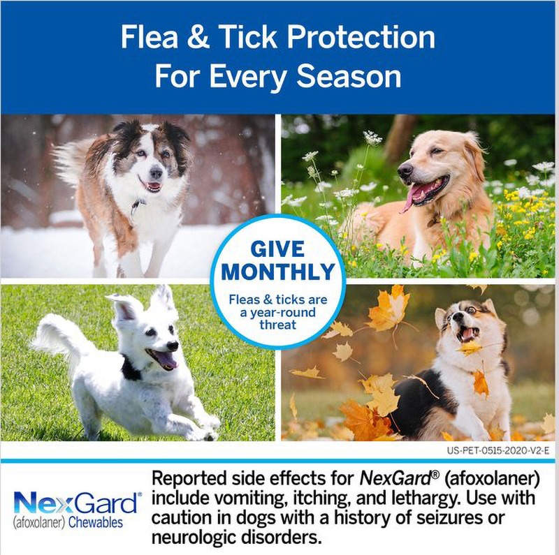 Nexgard and Nexgard Spectra Chewable for Dogs Broad-Spectrum Treatment ...