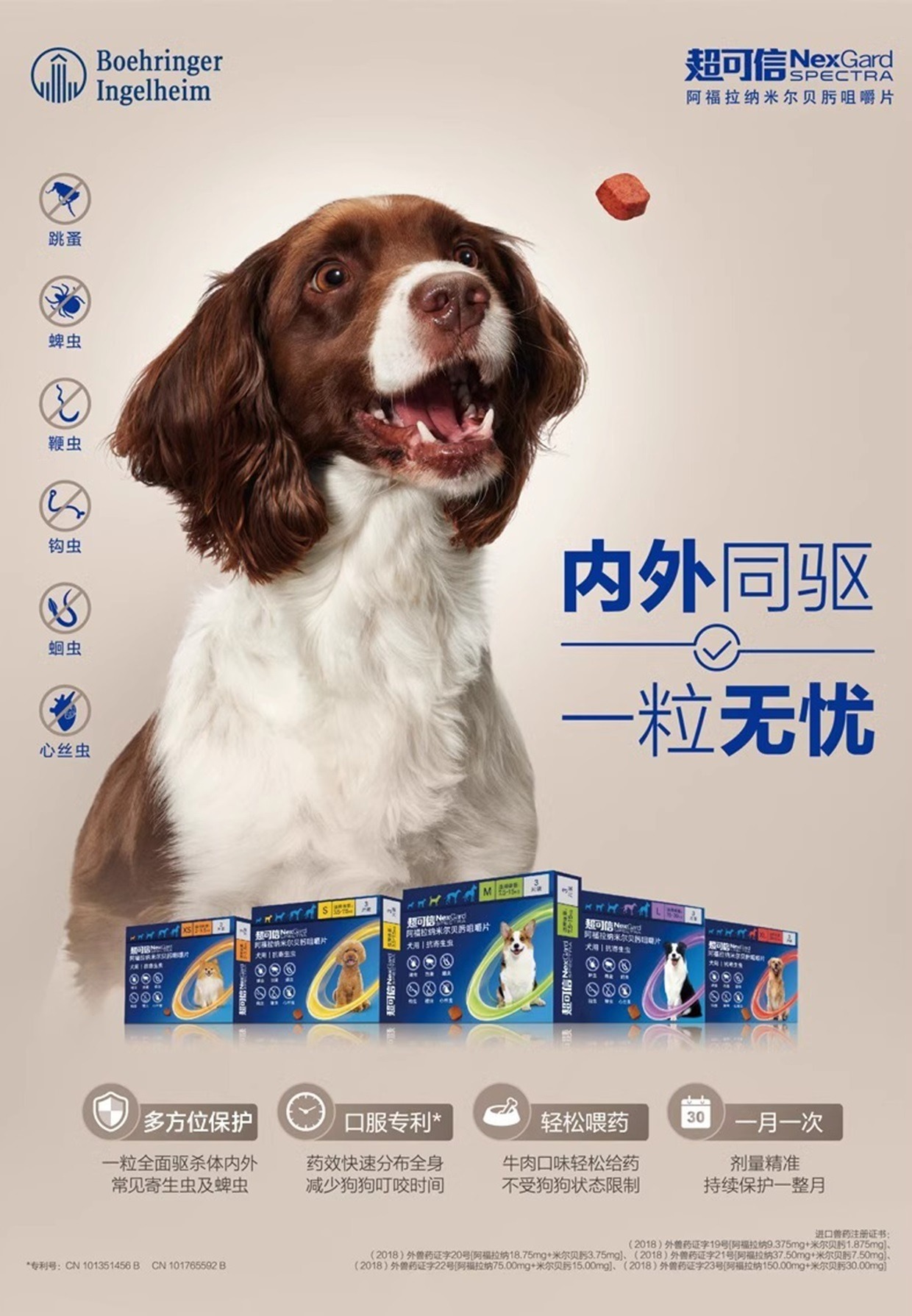 Nexgard Spectra Chewable Deworming Tablets for Dogs Anti Ticks Fleas ...