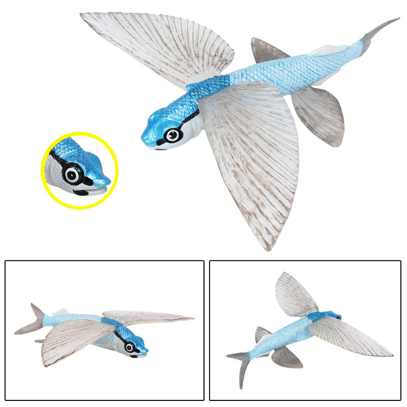 Marine life simulation aquarium static animal flying fish model wild ...
