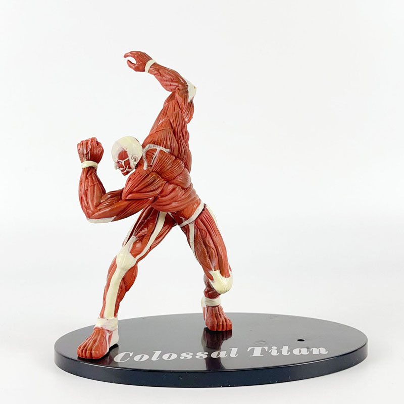 8 Styles Anime Attack On Titan Figures Beast Colossal The Founding ...