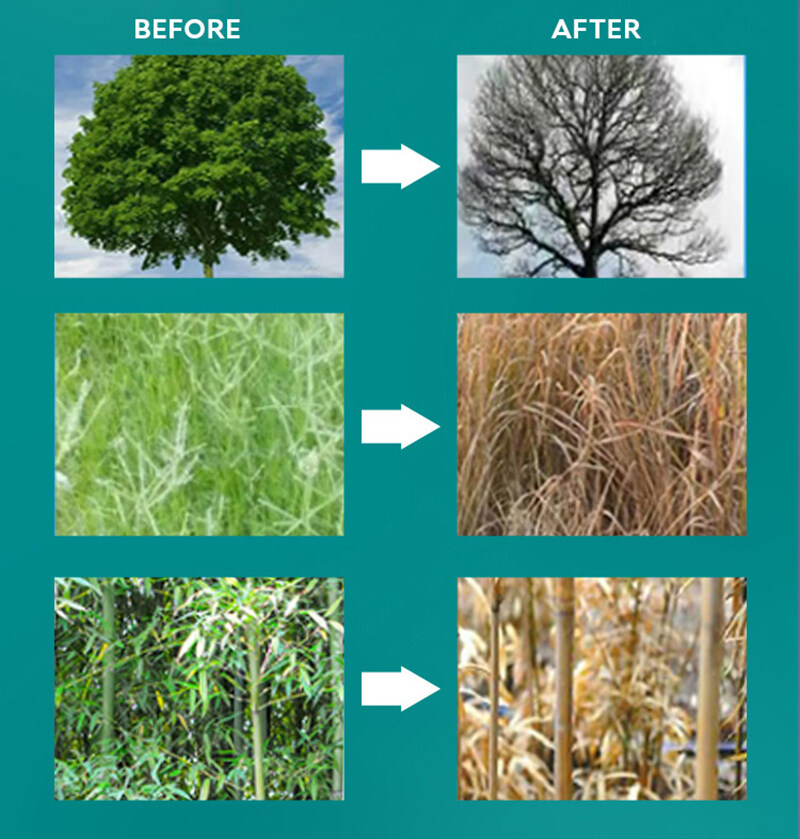 Root Rot 500g Powerful Grass Tree Killer Contains Super Effective ...