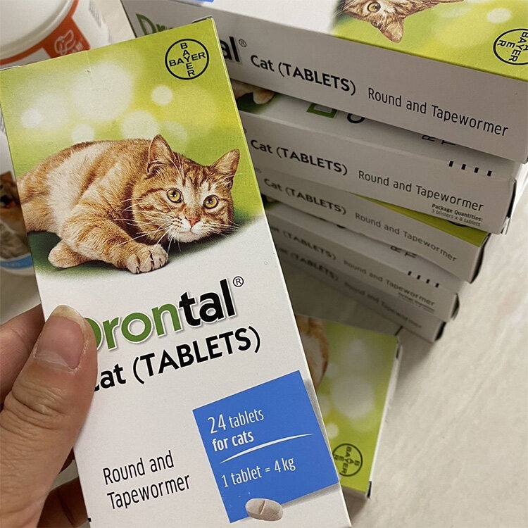 Drontal Cat Tablet for Treatment and Control of IntestinalWorms in Cats ...