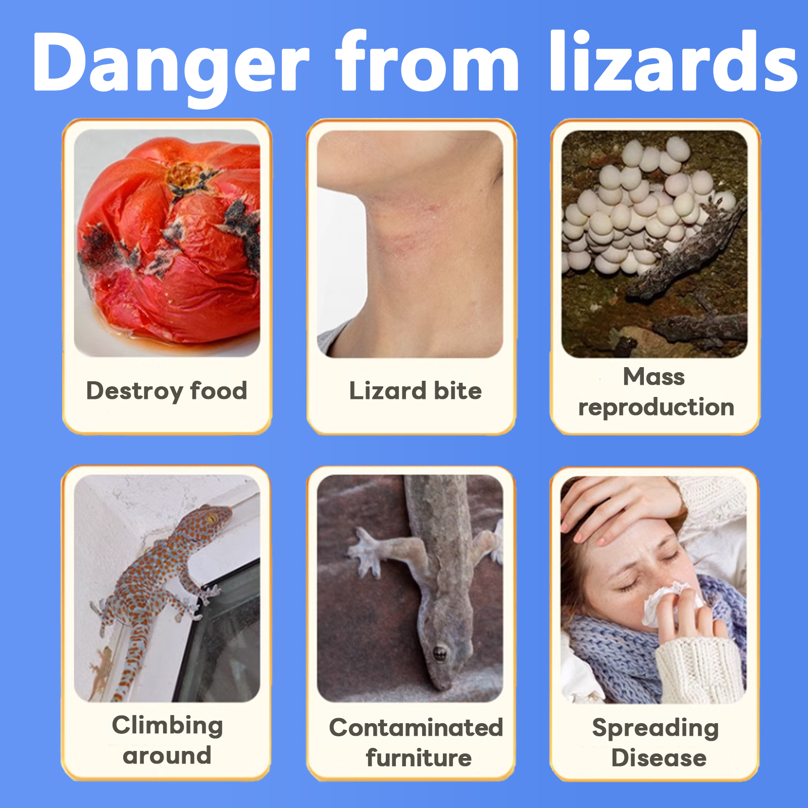 Refund if ineffective CP Lizard killer Lizard repellent Made in Japan ...