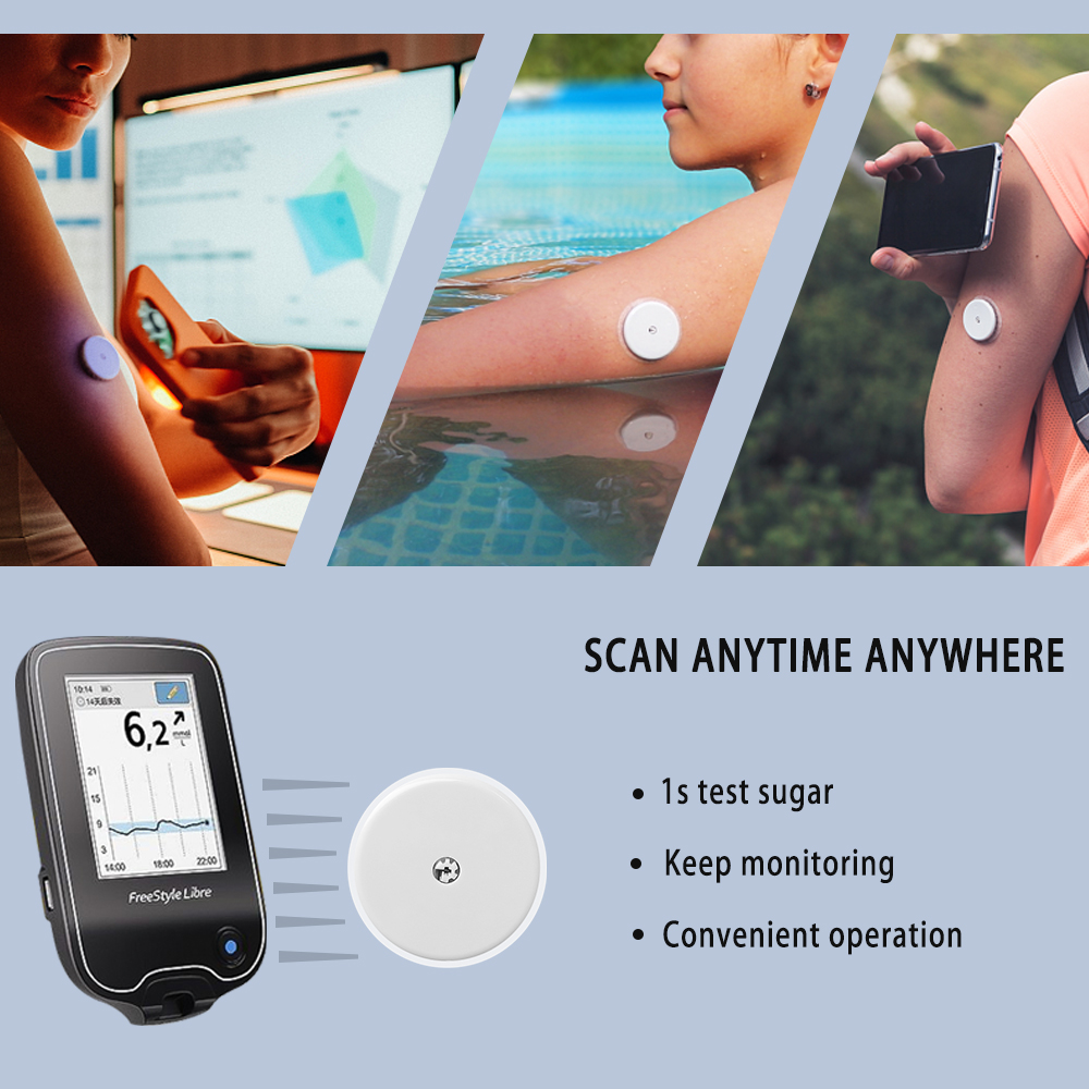 （Exp:2026-5.31）Freestyle Libre 24-hour real-time monitoring blood glucose sensor scanner Sanguis ...