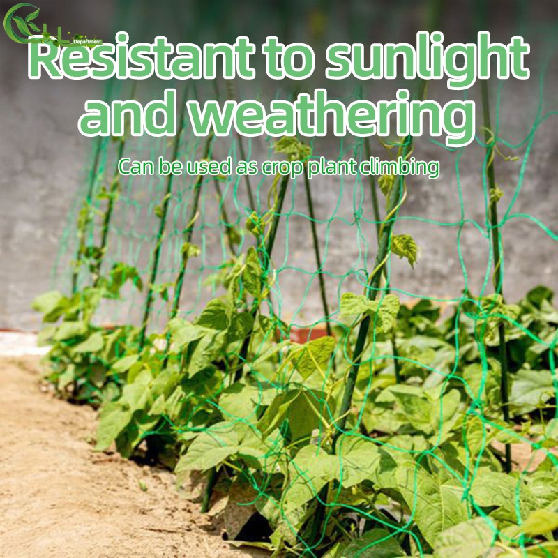 【Buy 1 Take 2】50/100M Chicken Net Range Net For Chicken Lambat Outdoor ...