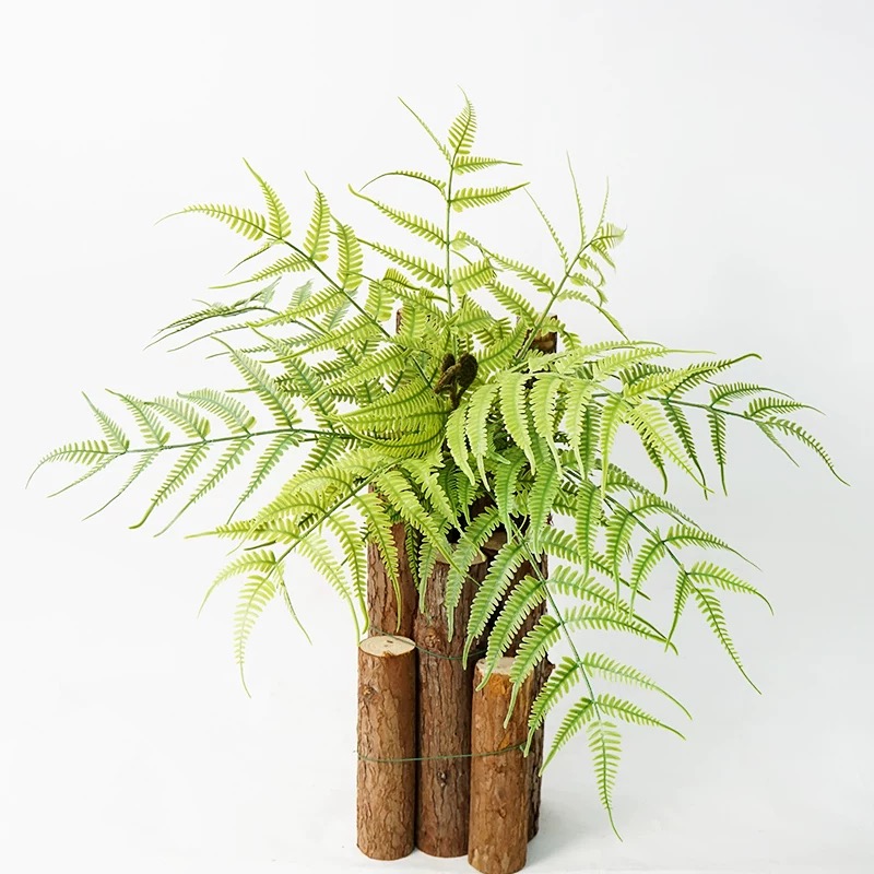 Big size fern artificial fern leaf fern plant golden monkey fern ...