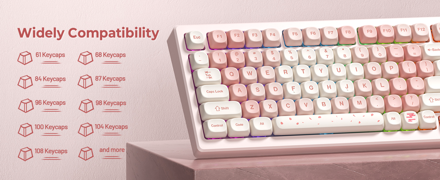 XVX MOA profile series keycaps Compatible with Wooting60he Wolf Spider ...