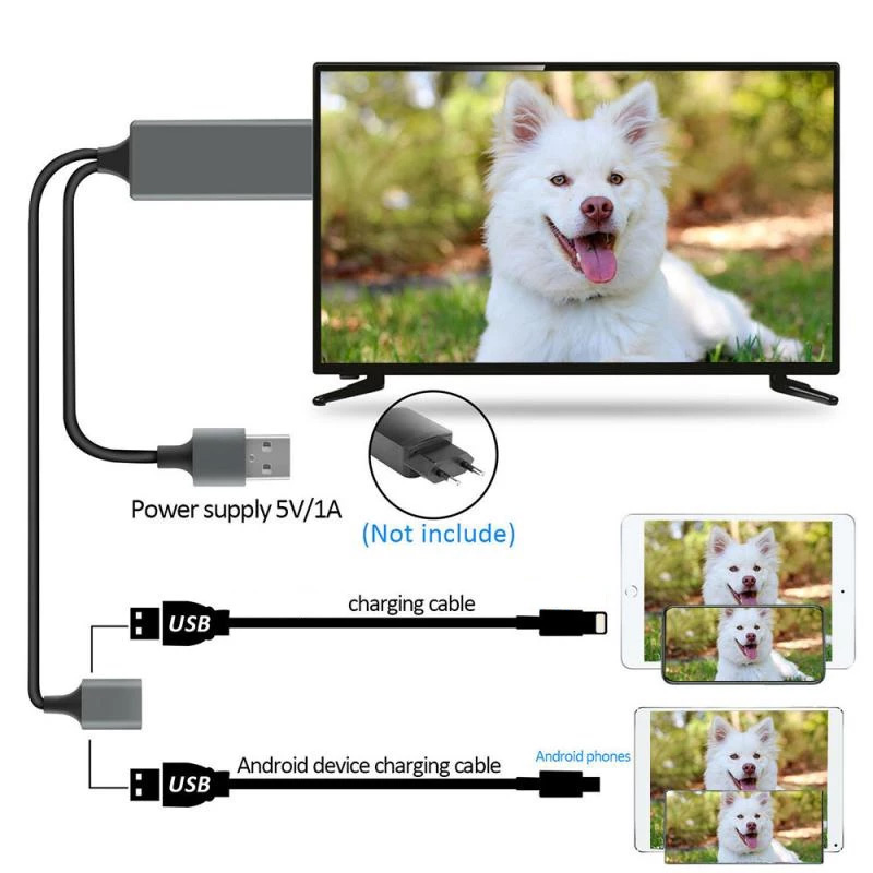Universal Projection Cable With High-Definition Output Performance ...