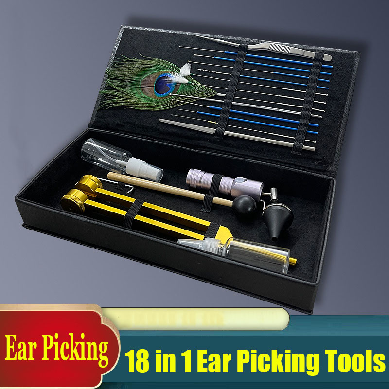 18 in 1 Professional Ear Picking Sets With Tuning Fork Goose Feathers ...