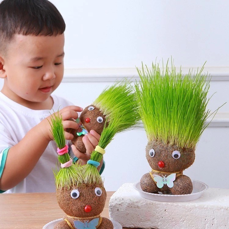 Buy 1 Take 1 Grass Head Room Decor Children Growing Grass Doll Toys ...