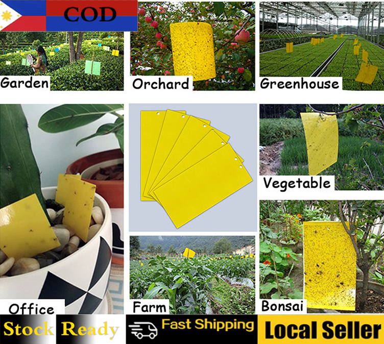 Strong Flies Traps Bugs Double-Sided Insect Yellow Sticky Trap Aphid ...