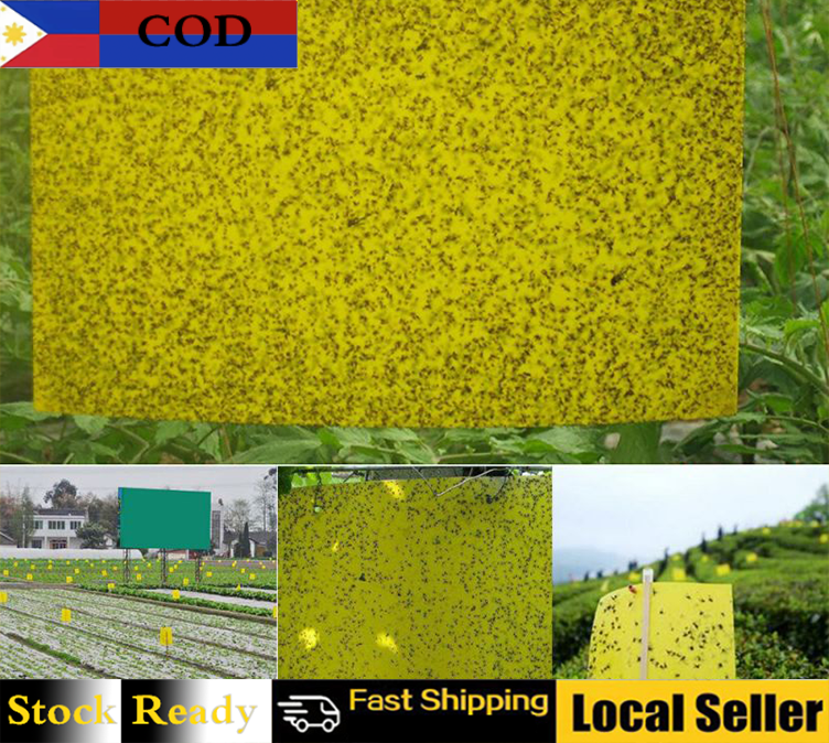 Strong Flies Traps Bugs Double-Sided Insect Yellow Sticky Trap Aphid ...