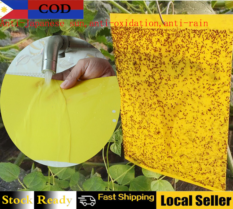 Strong Flies Traps Bugs Double-Sided Insect Yellow Sticky Trap Aphid ...