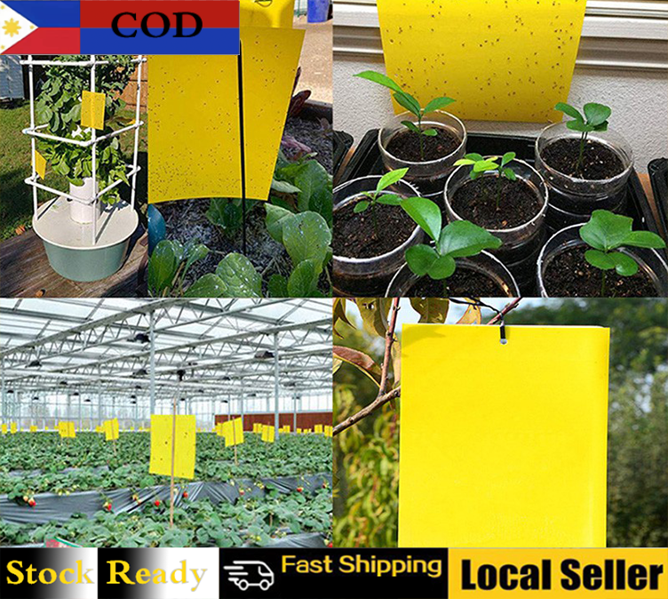 Strong Flies Traps Bugs Double-Sided Insect Yellow Sticky Trap Aphid ...