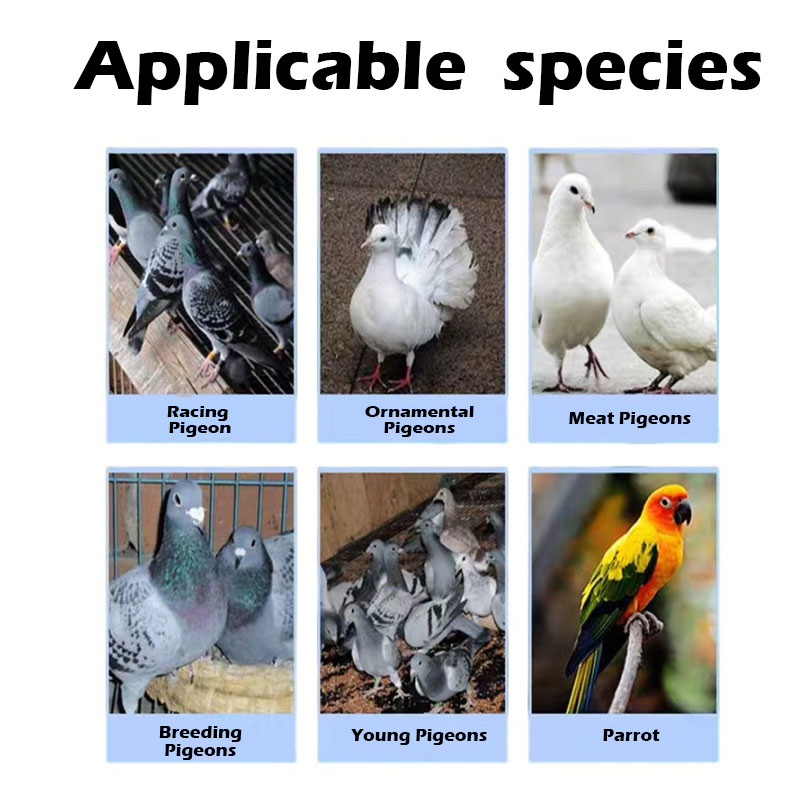 Victery 6 in 1 Super fighter Pigeon cold Salmonella Adenovirus New ...