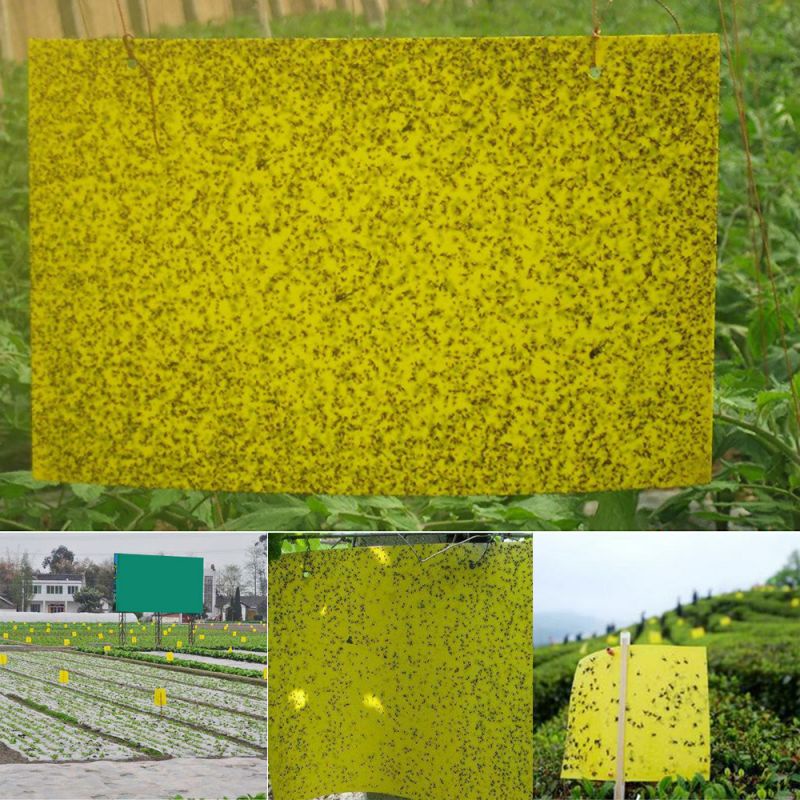 100Pcs/50Pcs Strong Flies Traps Bugs Double-Sided Insect Yellow Sticky ...