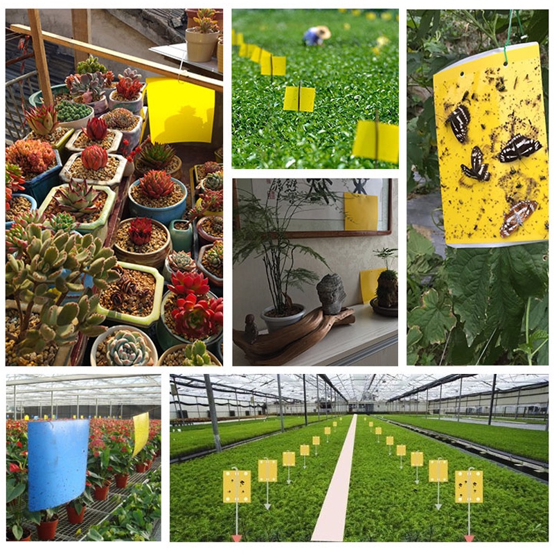 100Pcs/50Pcs Strong Flies Traps Bugs Double-Sided Insect Yellow Sticky ...