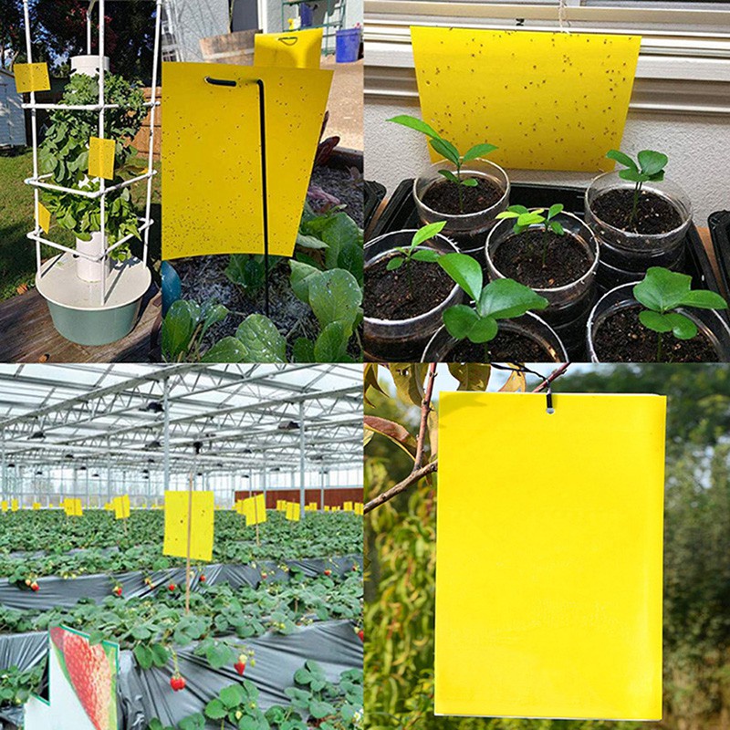 100Pcs/50Pcs Strong Flies Traps Bugs Double-Sided Insect Yellow Sticky ...
