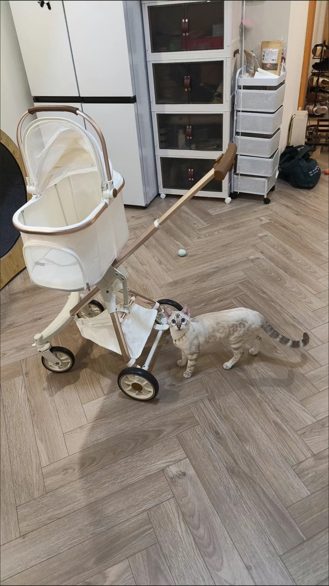 mall White High-view Pet Stroller International luxury hello baby brand ...