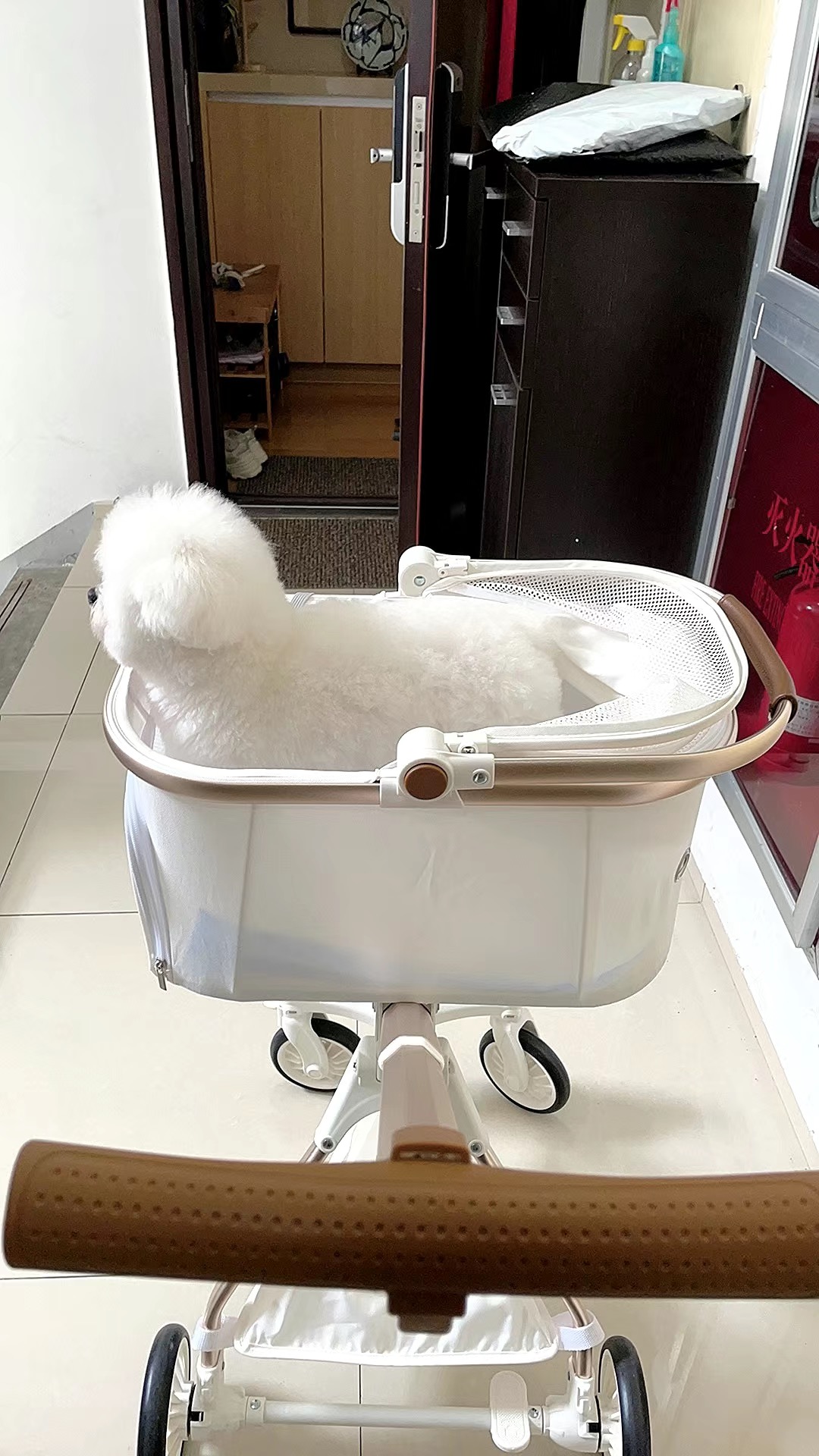 mall White High-view Pet Stroller International luxury hello baby brand ...