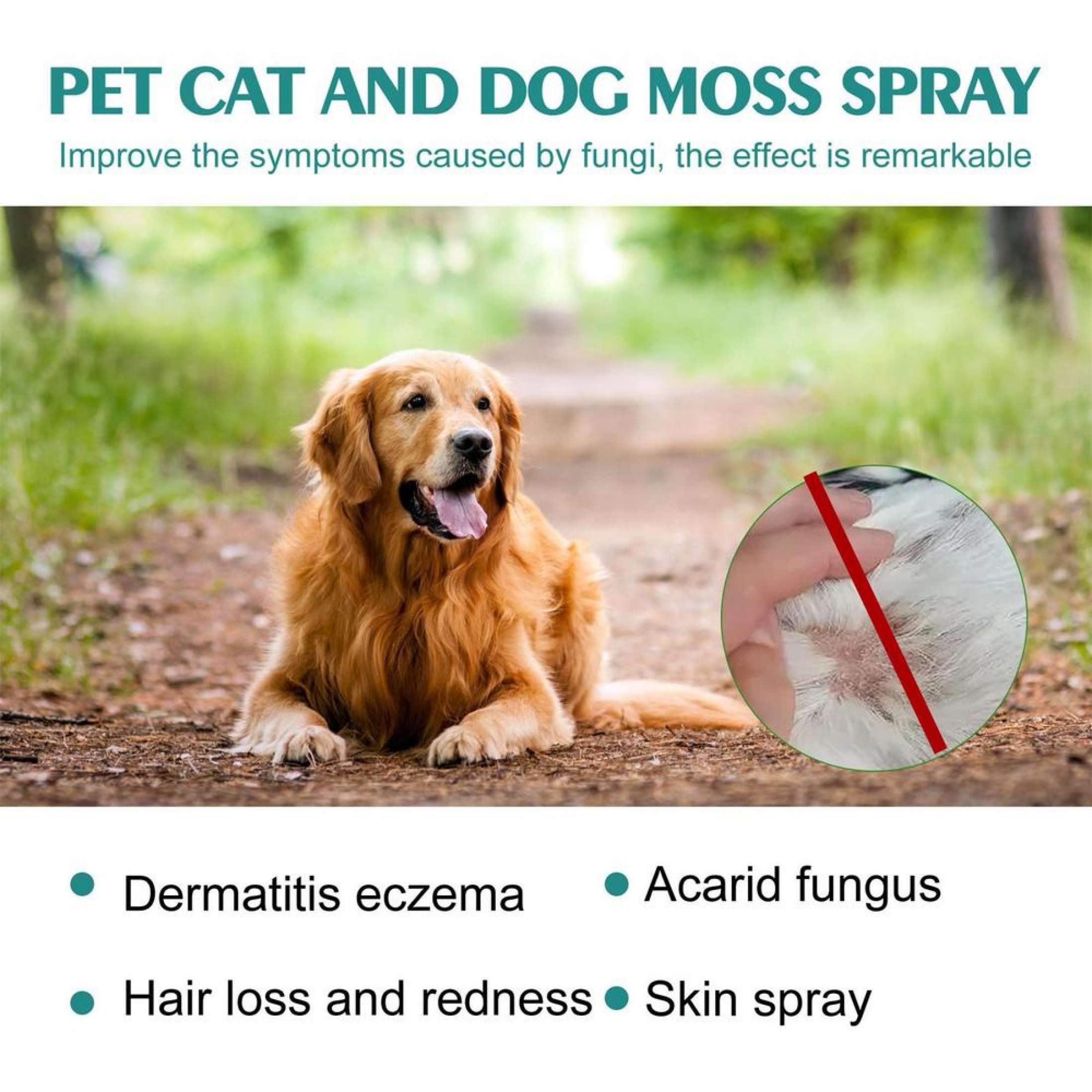 [Veterinary Recommended] Pet Skin Treatment Spray 500ml Dog Spray For ...