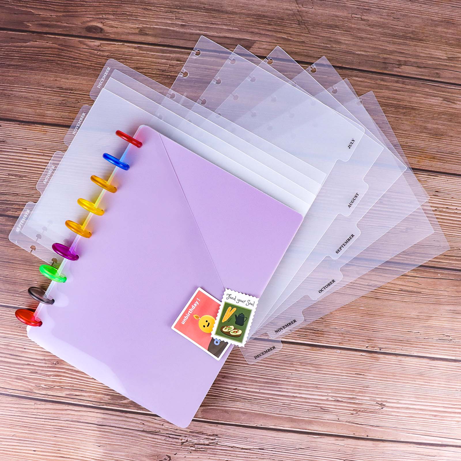 Colorful Discbound Pocket Dividers 9 Disc Pocket Folders with Frosted ...