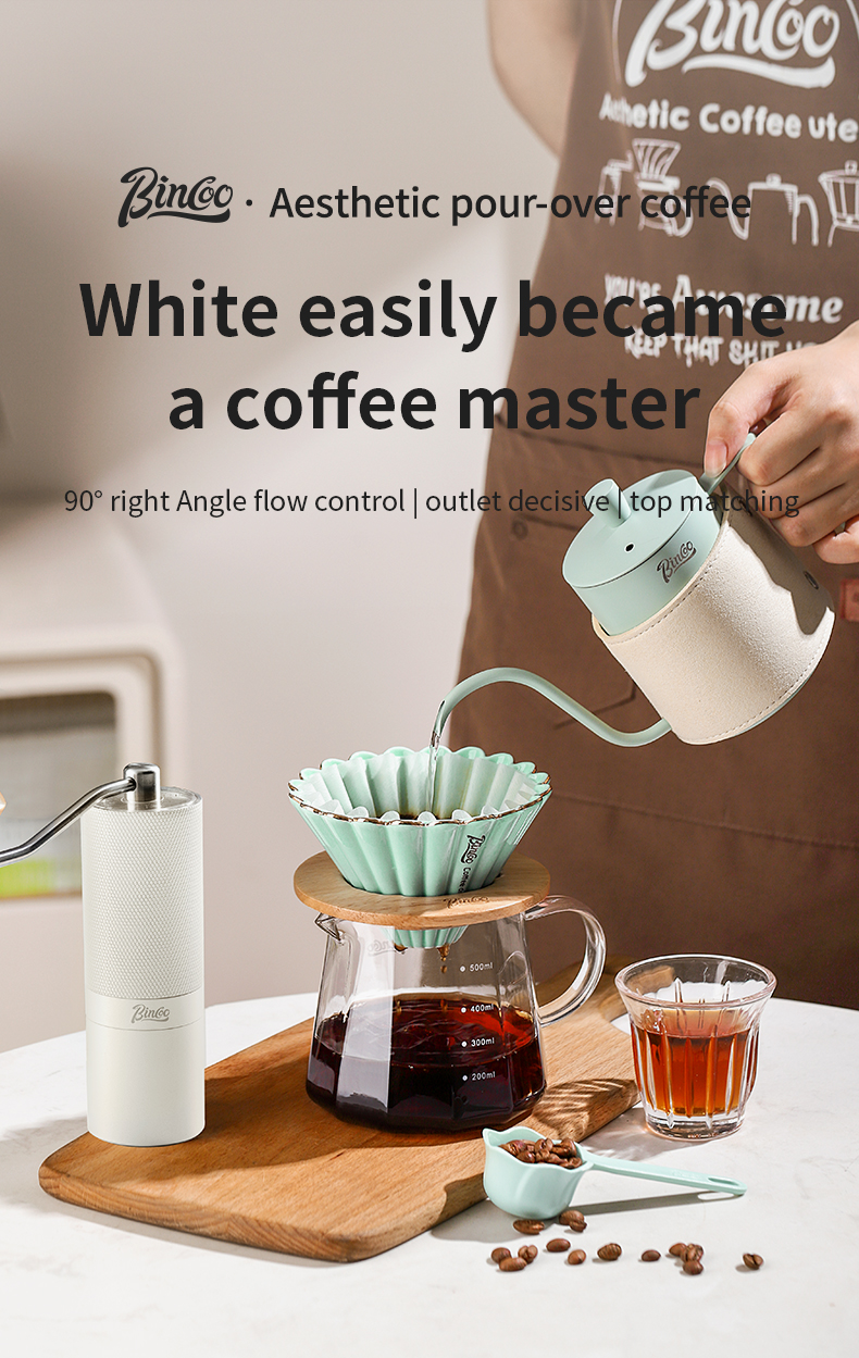 BINCOO Hand Brewed Coffee Filter Cup V60 Ceramic Coffee Filter Coffee ...