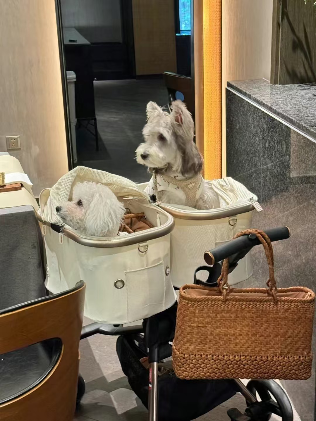America Toodandan Multifunctional Pet Strollers for Dogs Lightweight ...