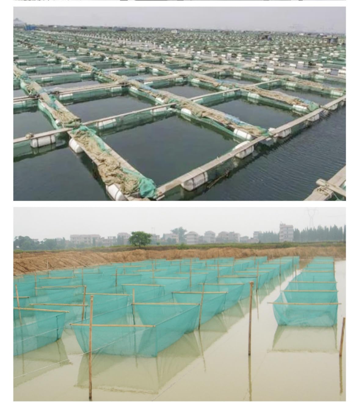 10 Mesh Fish breeding net Dapnia net Fish cage net for Aquaculture ...