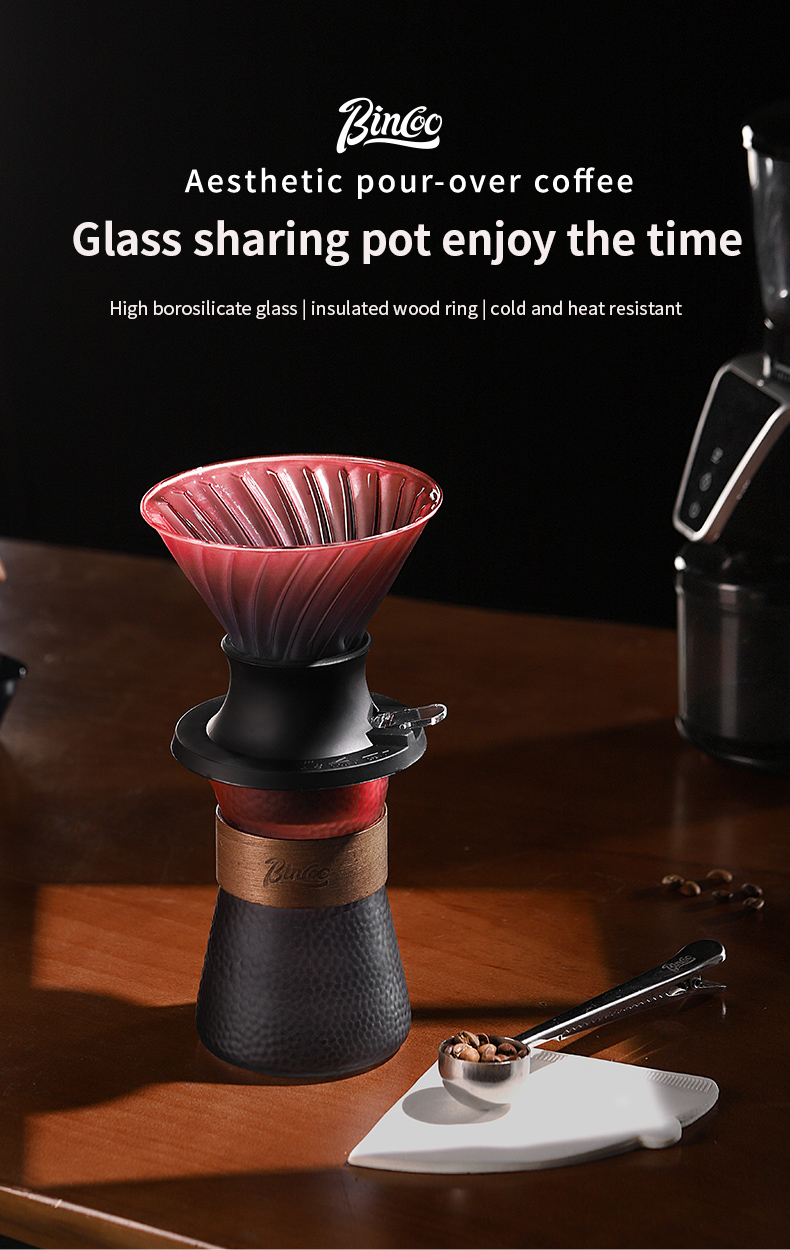 BINCOO Coffee Hand Brewer Filter Cup Set Coffee Sharing Pot Glass ...