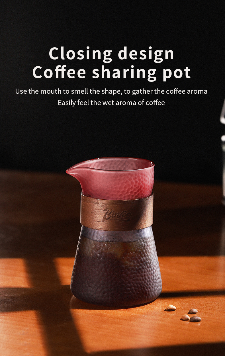 BINCOO Coffee Hand Brewer Filter Cup Set Coffee Sharing Pot Glass ...