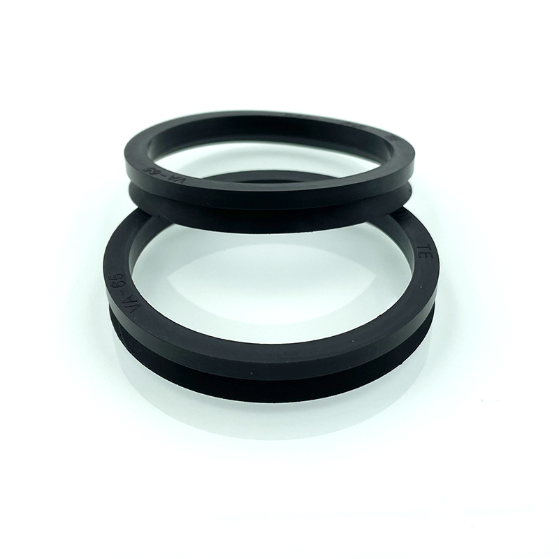 Va/vd A Type Water Seal Nitrile Fluorine Rubber Rotating Lip Shape ...