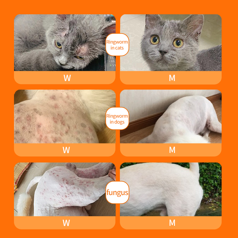 PUAINTA Pipot Skin Spray For Dog and Cat Skin Disease Hair Loss Itch ...