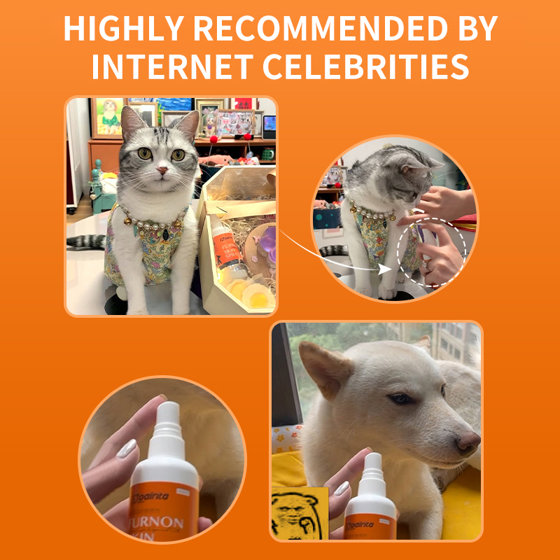PUAINTA Pipot Skin Spray For Dog and Cat Skin Disease Hair Loss Itch ...