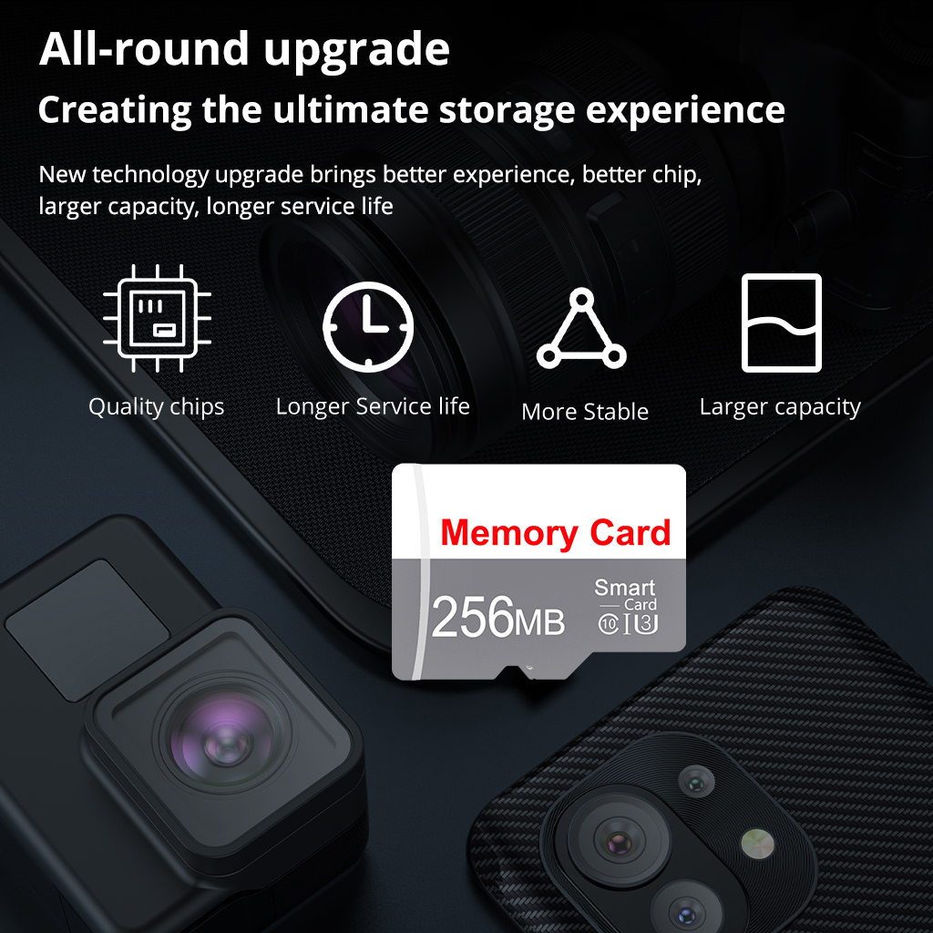 256MB microSD (TF) Card - Class 10 A1 Small Capacity for Phones ...