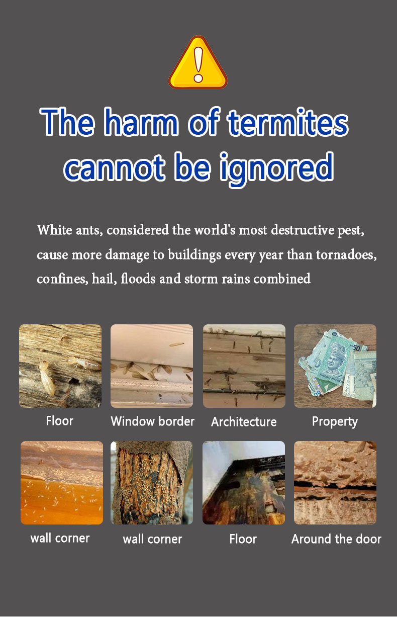 Termite whole nest end DPP Termite killer spray Termite spray killing ...