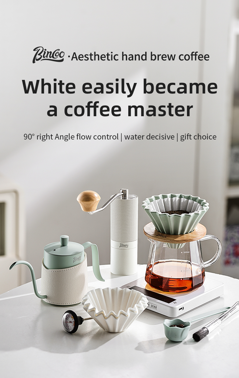 BINCOO Hand Brew Coffee Pot Set Filter Coffee Apparatus Sharing Pot ...