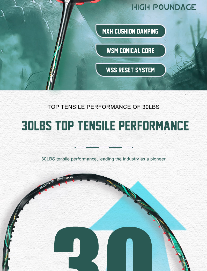 ALP V5 Scale Snake Max 30LBS 5U G6 Wave Frame 100% Original Authentic ...