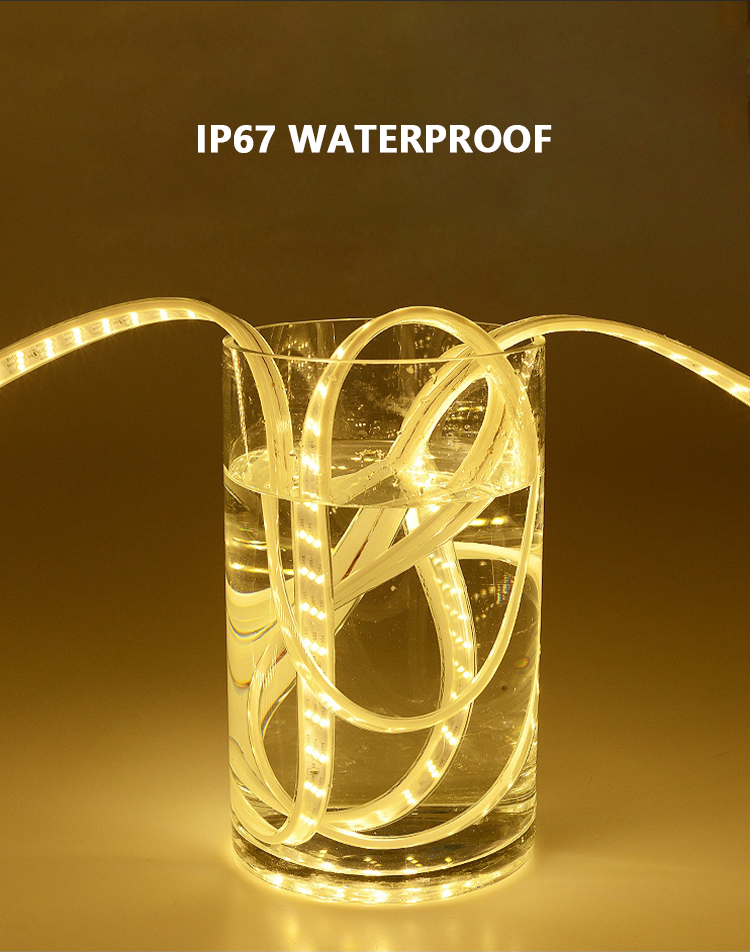Led Strip Light 220V for Ceiling Indoor Outdoor Decorative Light Strip ...