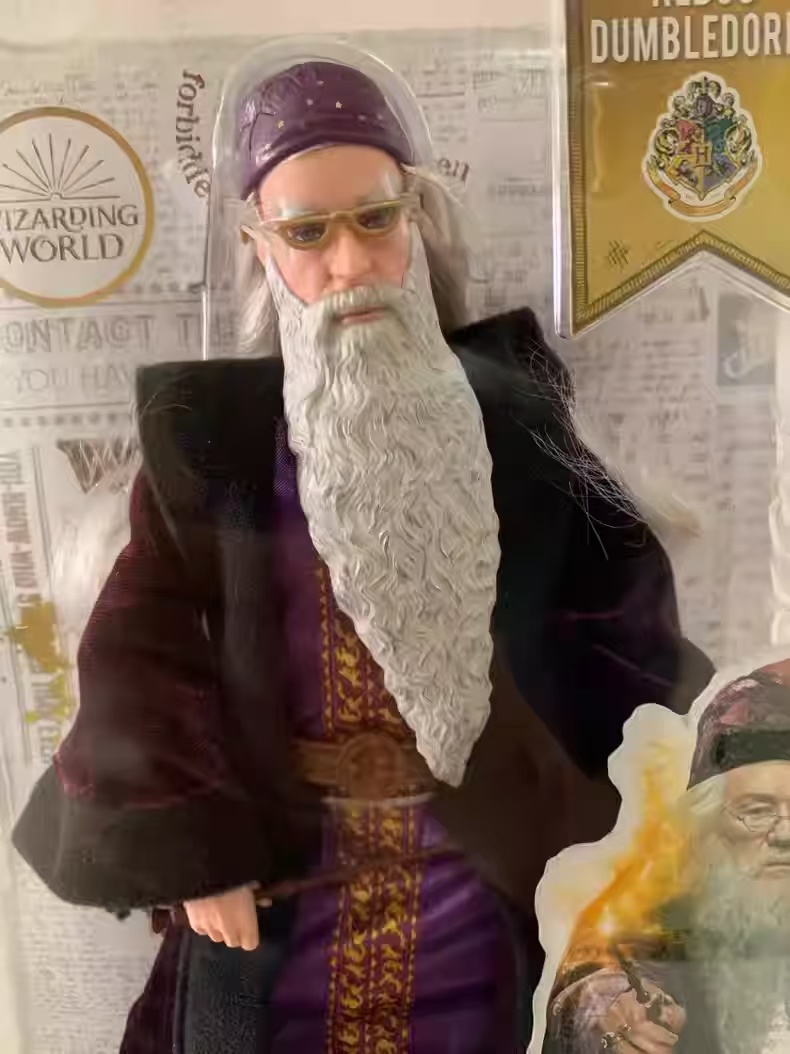 Mattel Harry Potter Albus Dumbledore Doll FYM54 | Shopee Philippines
