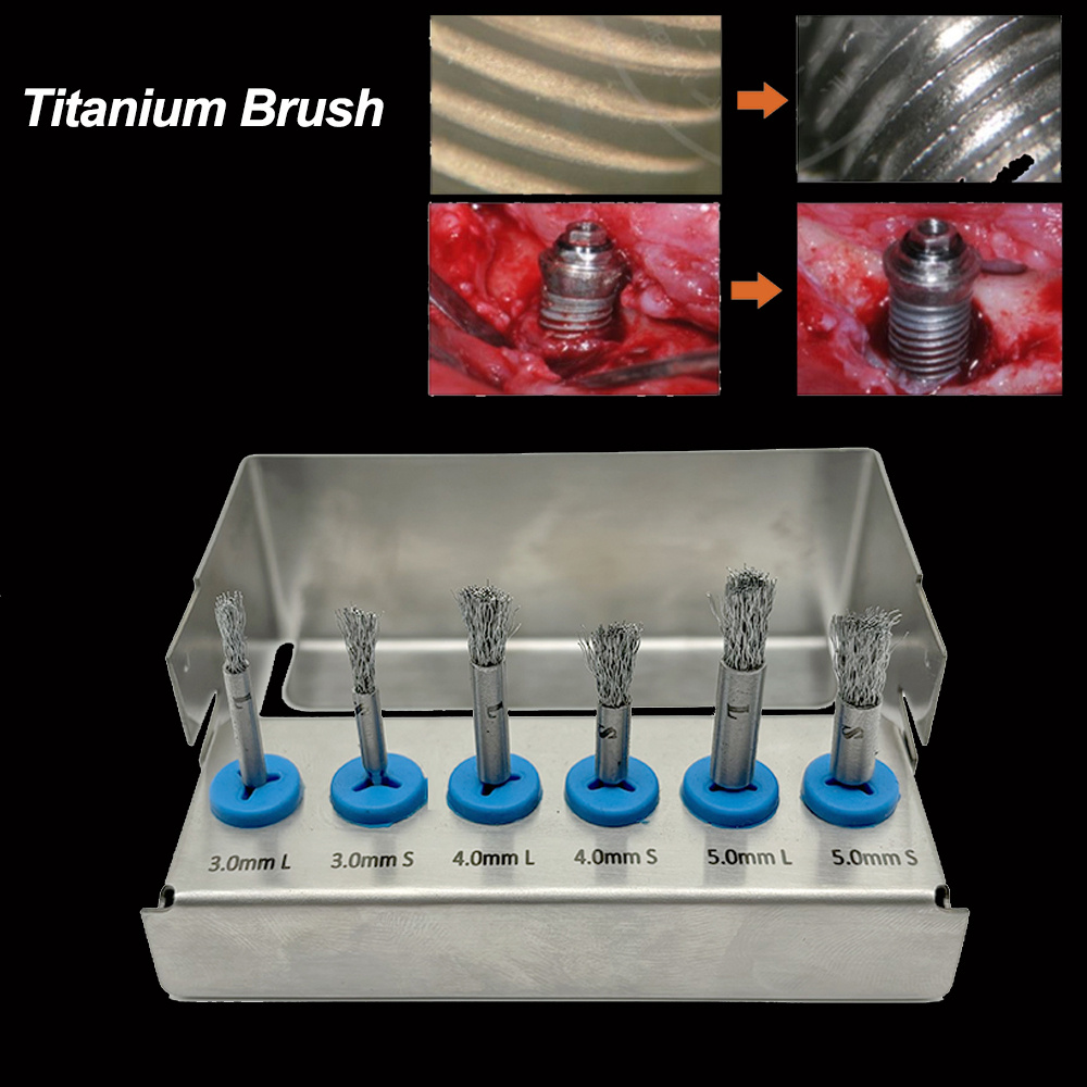 6PCS High-Quality Titanium Dental Brush for Debridement Peri ...