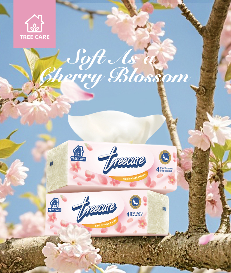 buy 1 take 1 Facial Tissue Sakura 10 Packs 4Ply 300 sheets per pack ...