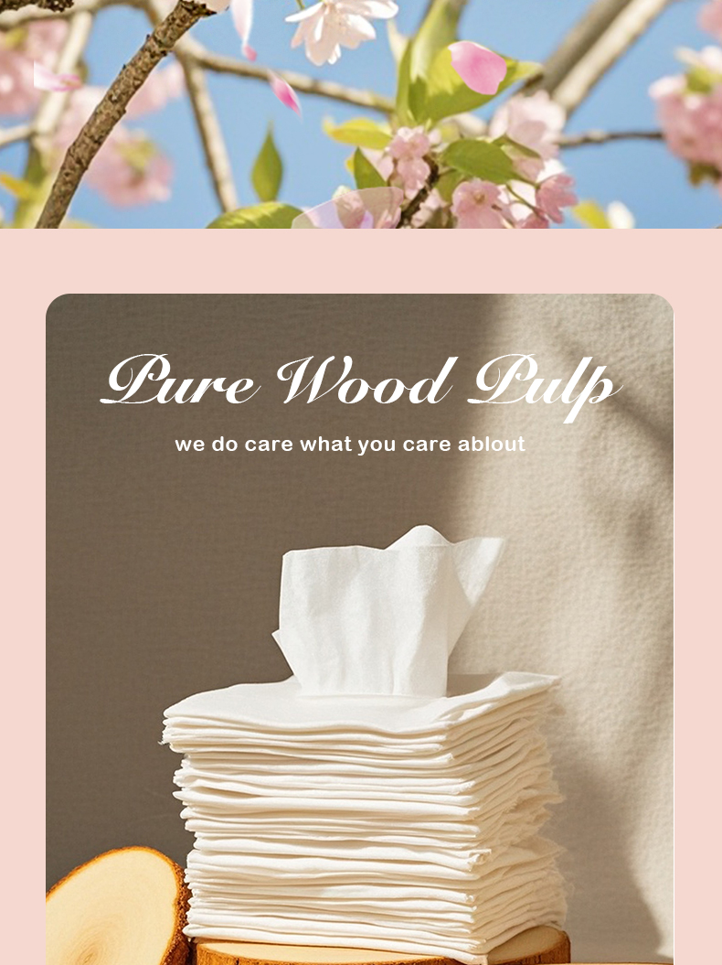 buy 1 take 1 Facial Tissue Sakura 10 Packs 4Ply 300 sheets per pack ...