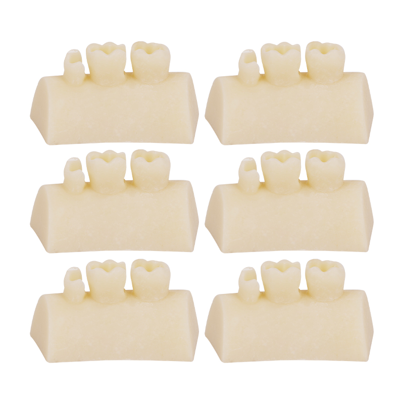 Dental Inlay Exercise Model Block Composite Resin Filling Practice ...