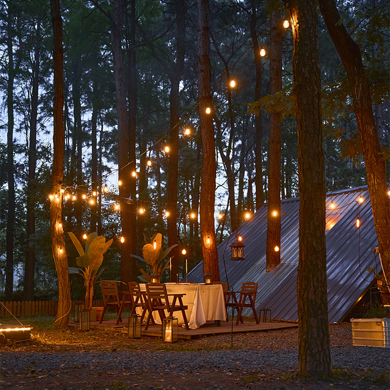 Led Bulb String Lights Outdoor Waterproof Holiday Party Lights 30/20M ...