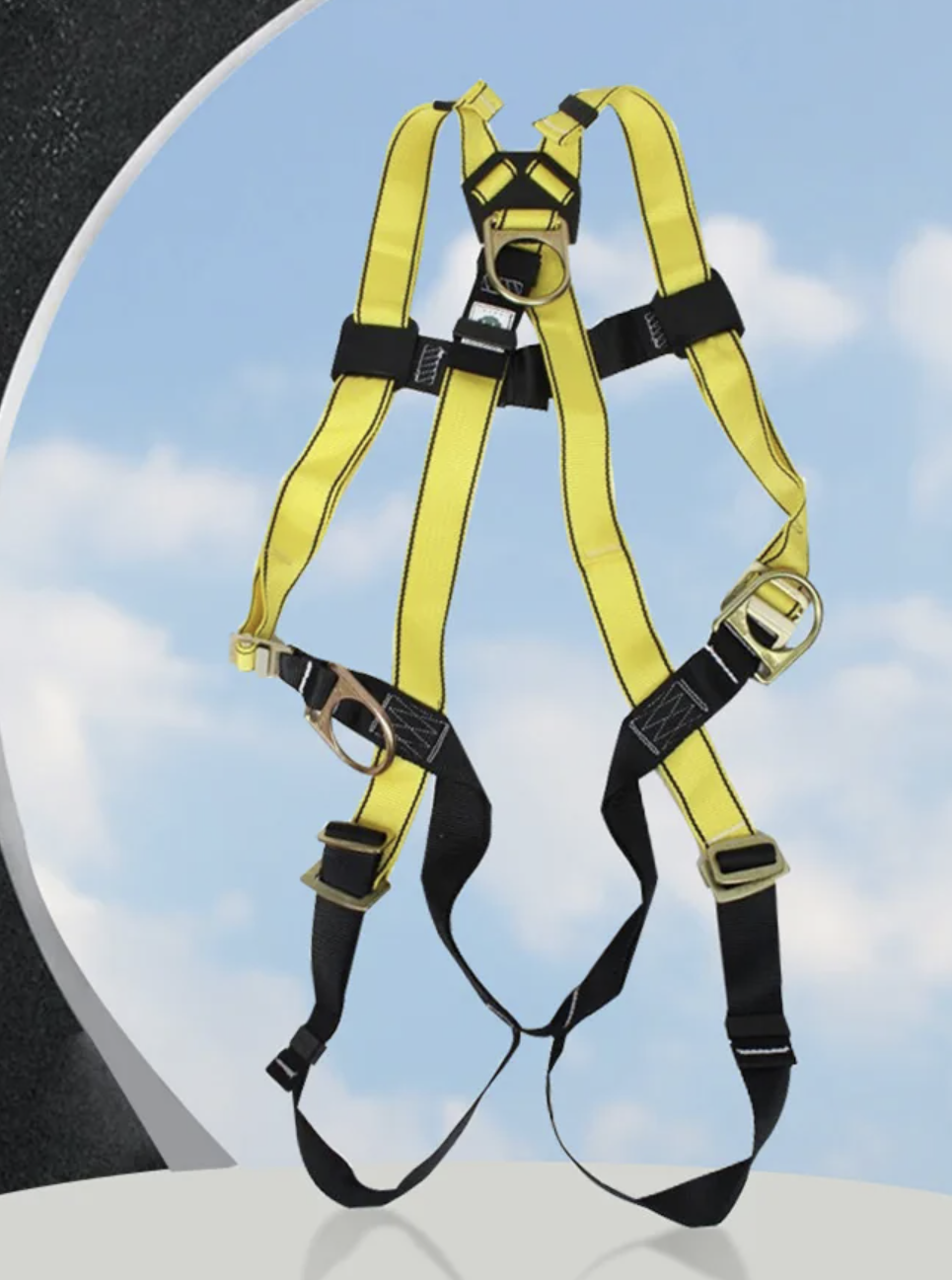 MSA 9301005 Workman Lifeline Full-body Fall Protection Belt Full body ...