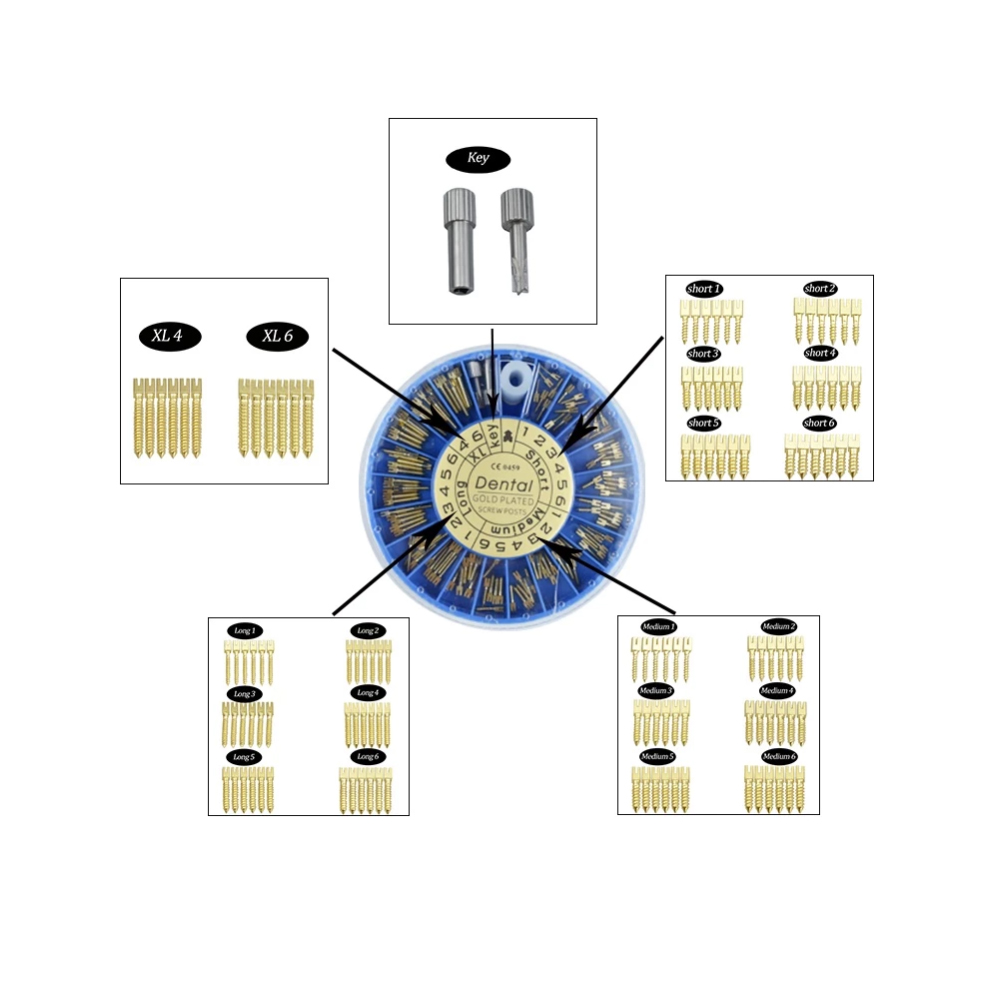 122Pcs Screw Post Stainless Steel/Pure Titanium/ Gold Plated | Shopee ...